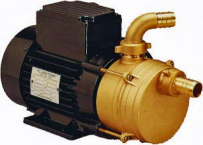 Tellarini ENT 40 400v Liquid ring transfer pump